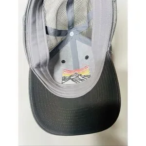 Patagonia | Accessories | Patagonia B55 Patagonia Line Logo Ridge ...